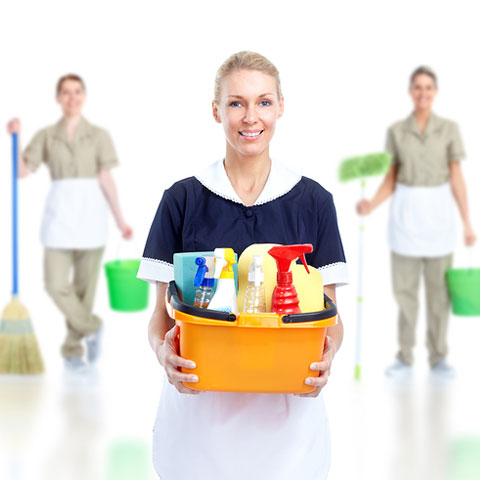 Dust Busters Residential and Commercial Cleaning Services